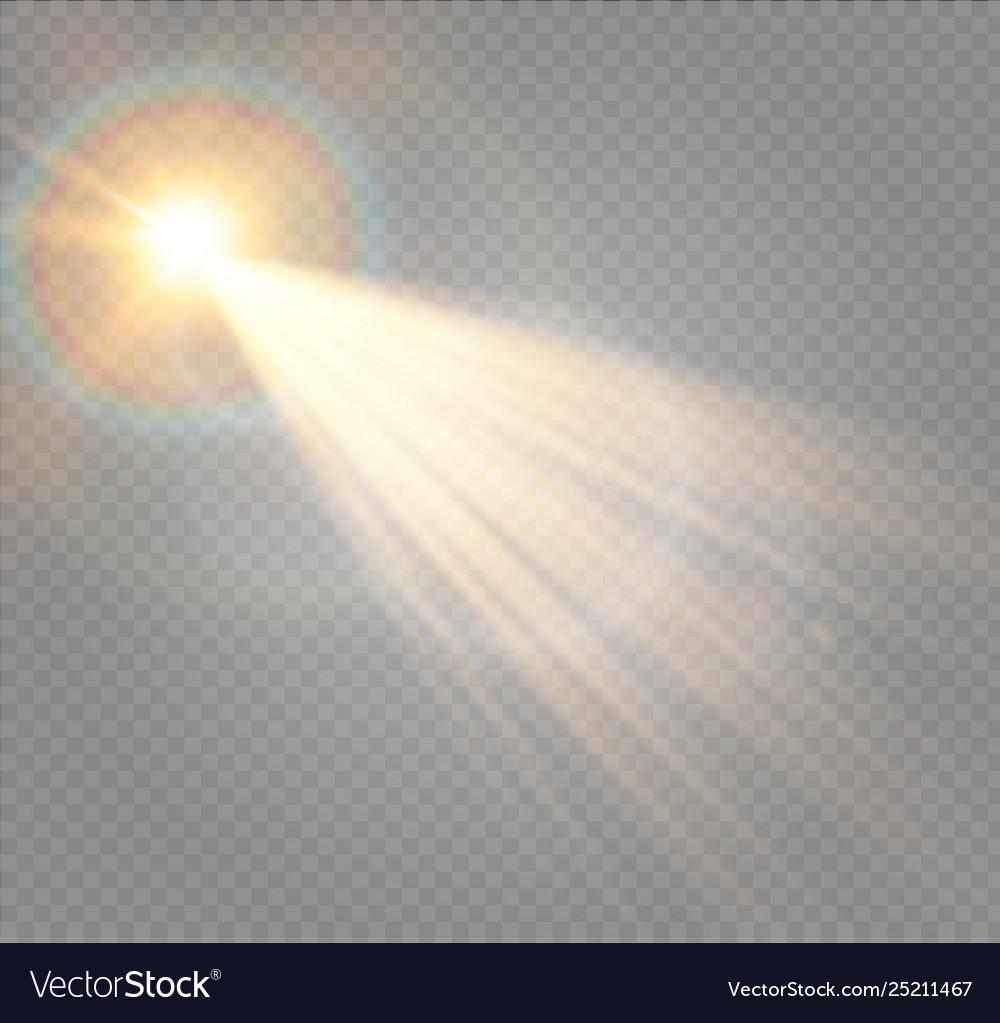 Transparent sunlight Royalty Free Vector Image