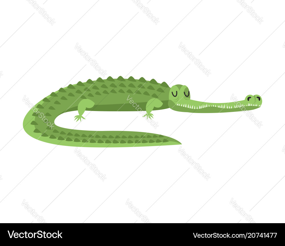 Sleeping crocodile alligator is asleep sleepy Vector Image