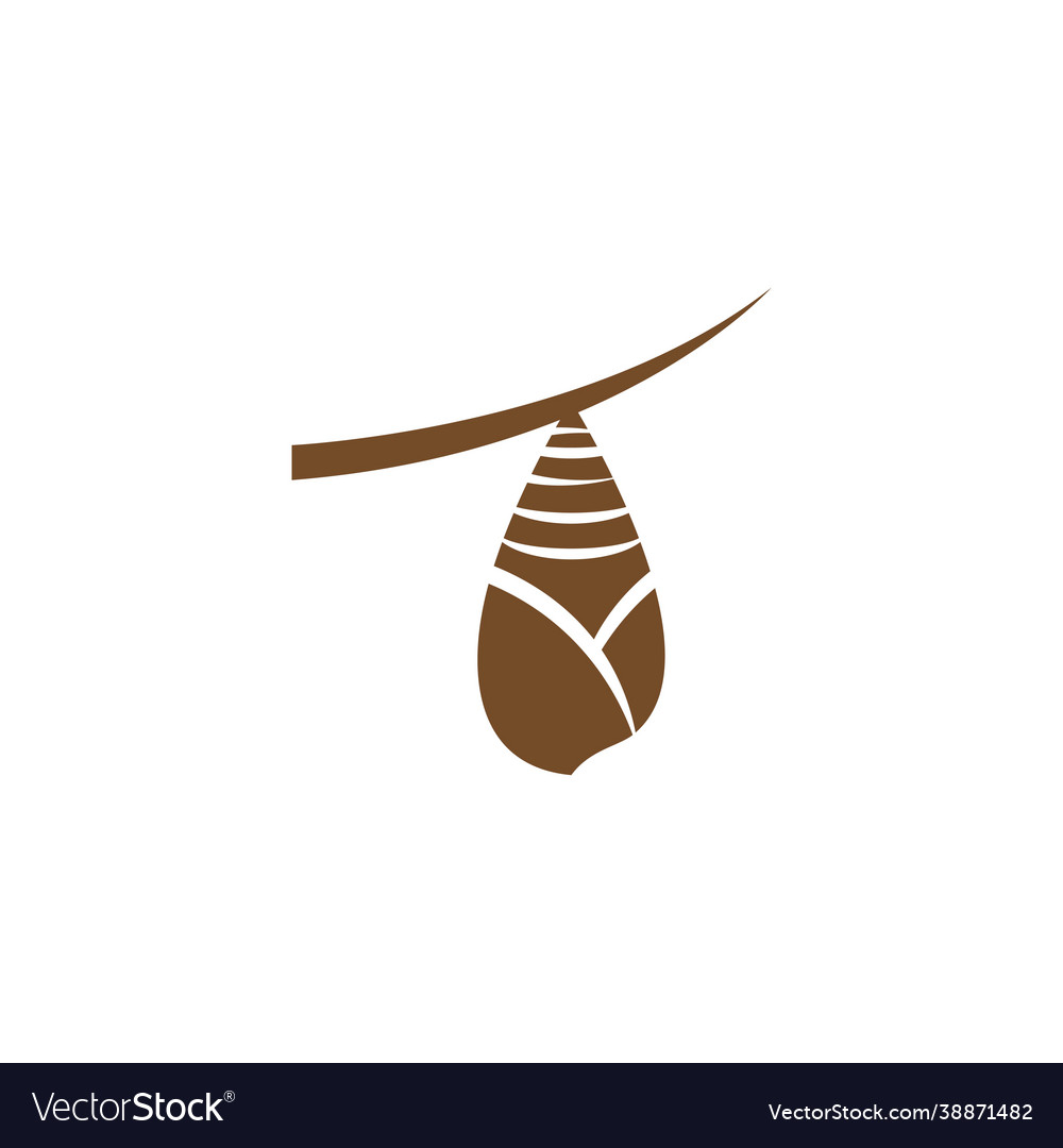 Cocoon Royalty Free Vector Image - VectorStock