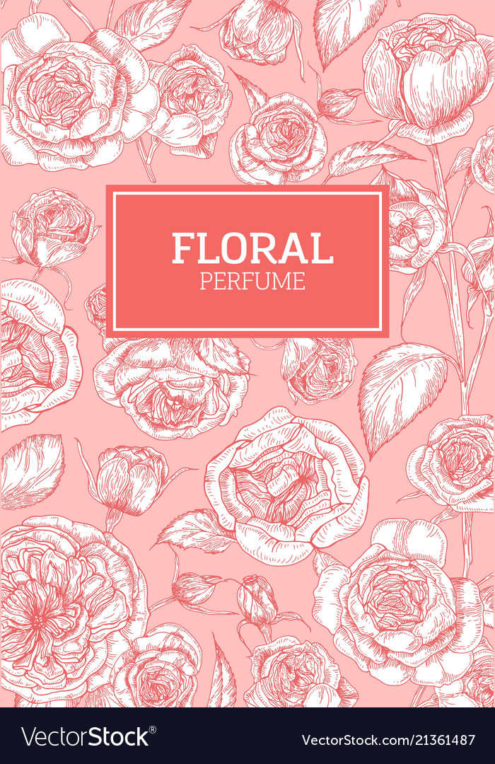 Beautiful flyer template decorated with pattern Vector Image