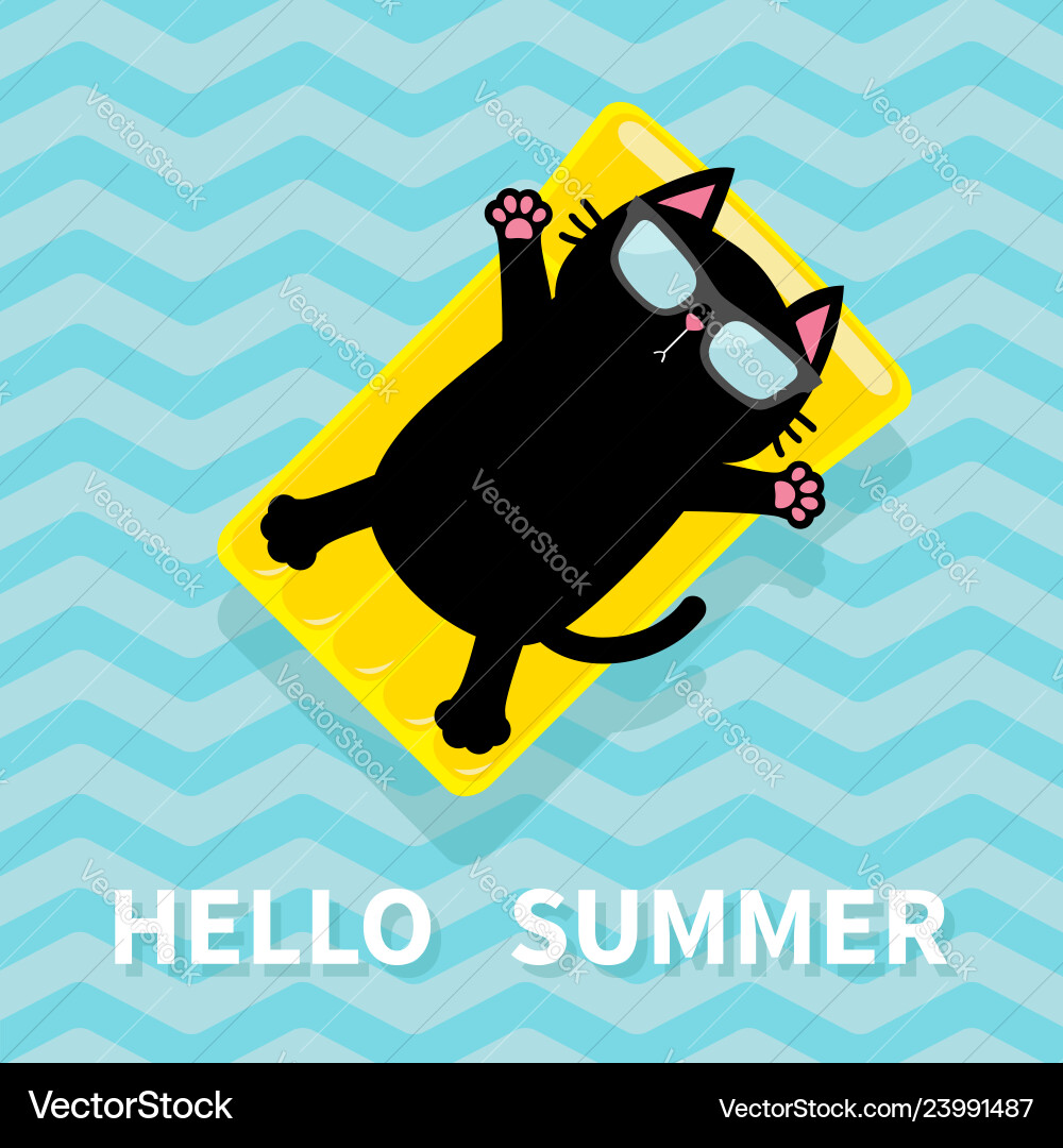 Hello summer black cat floating on yellow air Vector Image