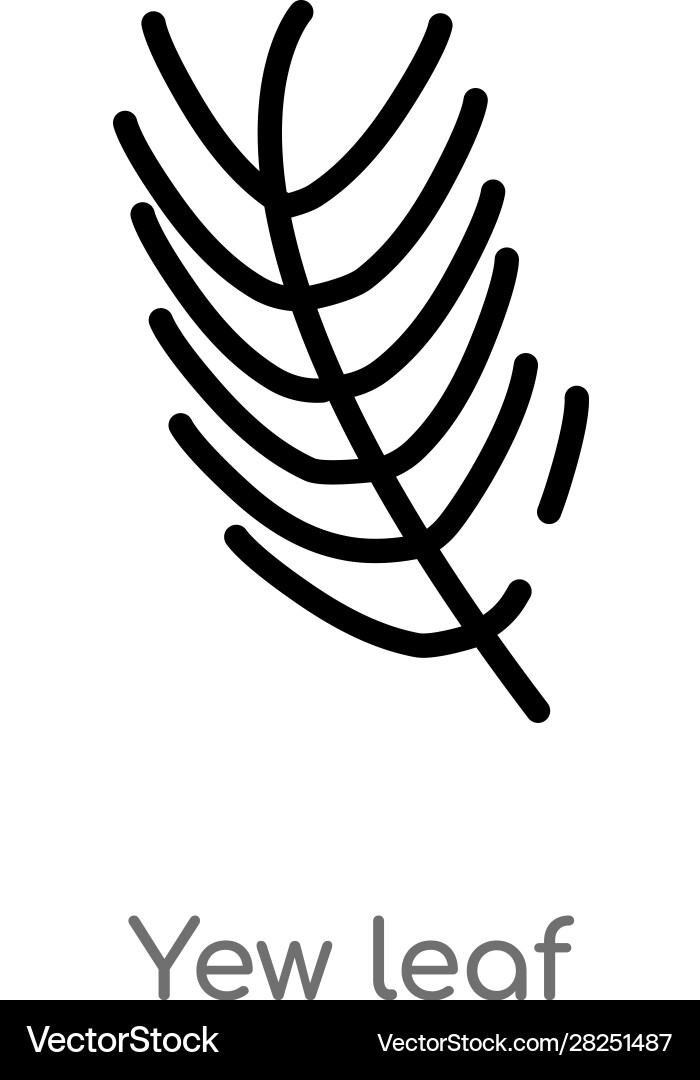 Outline yew leaf icon isolated black simple line Vector Image