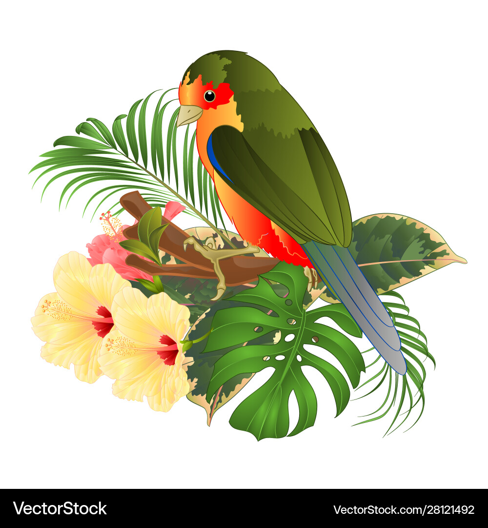 Tropical bird bouquet with flowers Royalty Free Vector Image