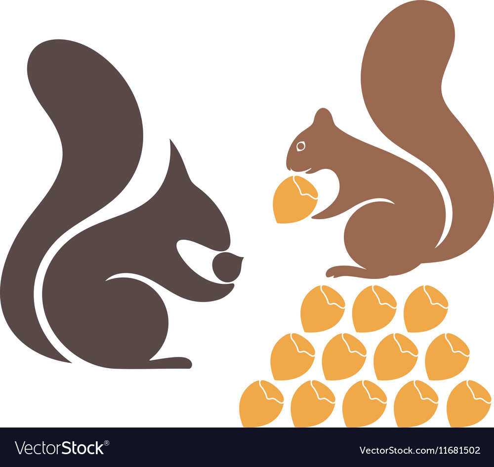Squirrel Royalty Free Vector Image - VectorStock