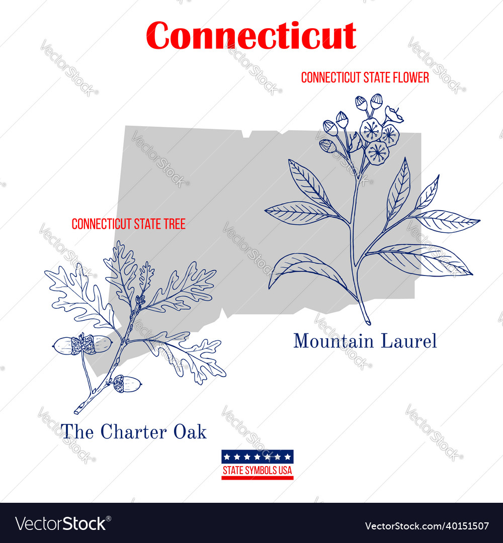 Connecticut set of usa official state symbols Vector Image