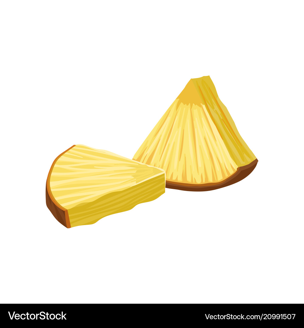 Fresh triangle slices of pineapple with peel Vector Image