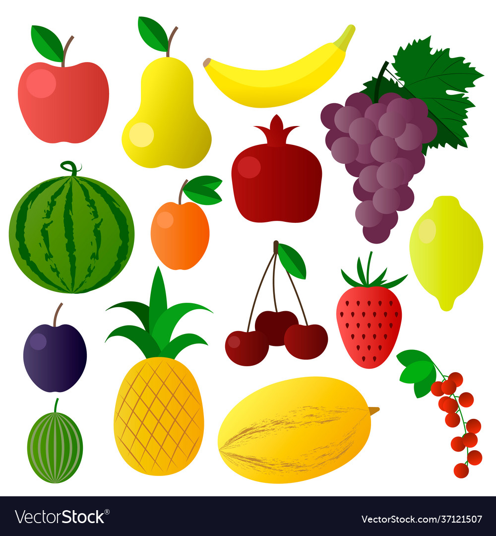 Fruit set Royalty Free Vector Image - VectorStock