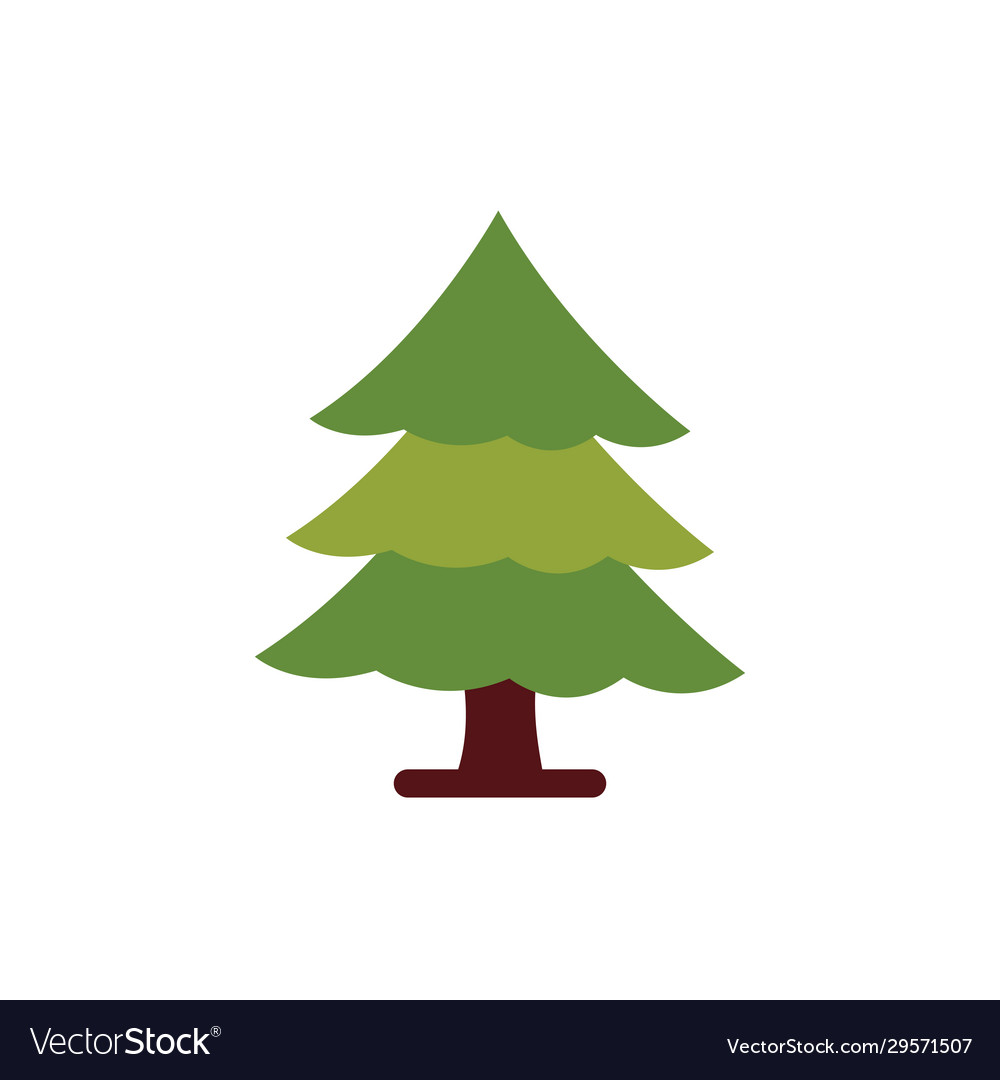 Pine tree plant nature flat style icon Royalty Free Vector