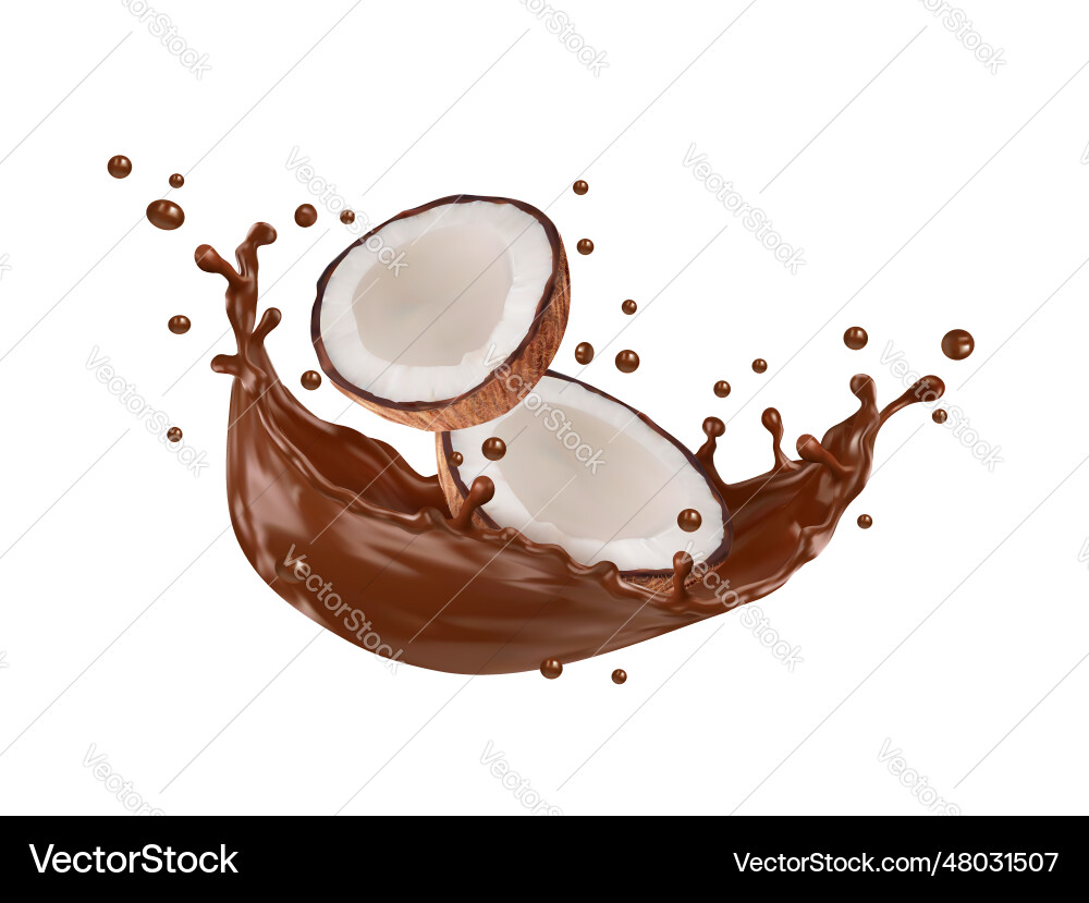Realistic chocolate milk wave splash and coconut Vector Image