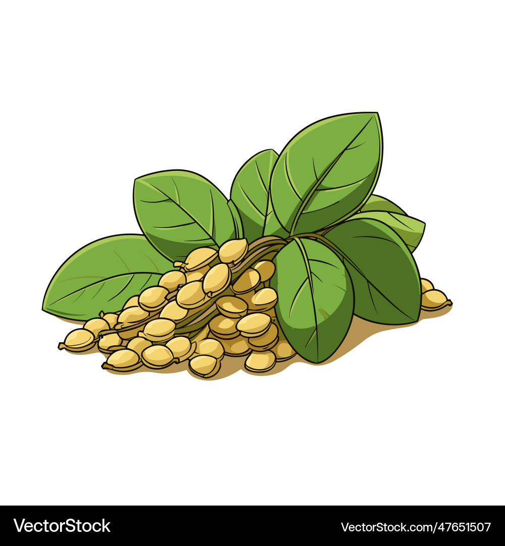 Soybeans hand-drawn doodle style cartoon Vector Image