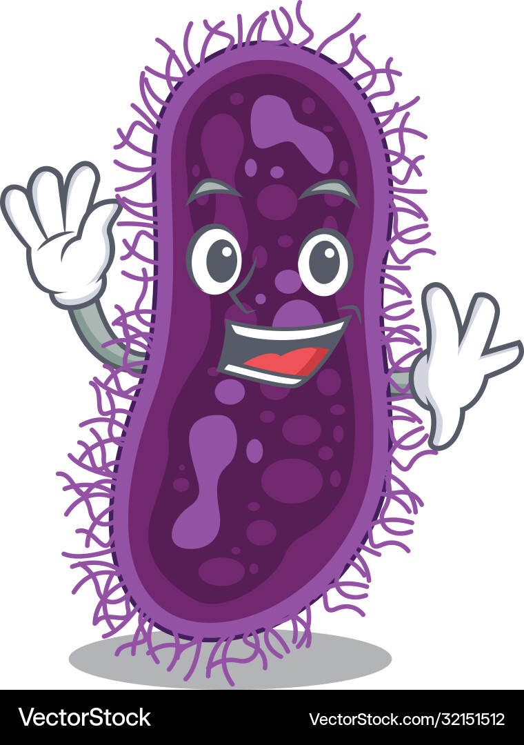 A charismatic lactobacillus rhamnosus bacteria Vector Image