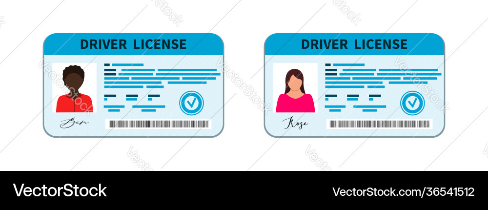 Driver license card licence with id Royalty Free Vector