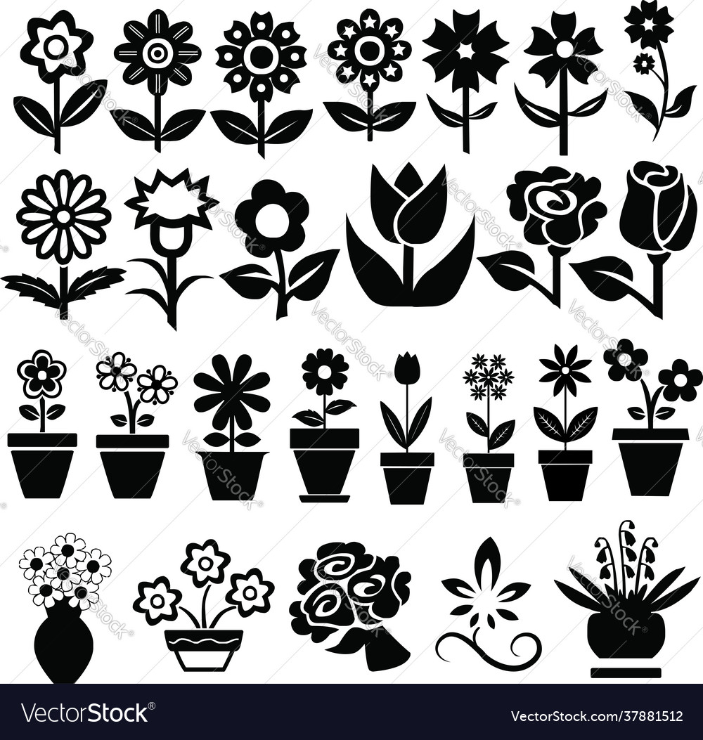 Flower elements Royalty Free Vector Image - VectorStock
