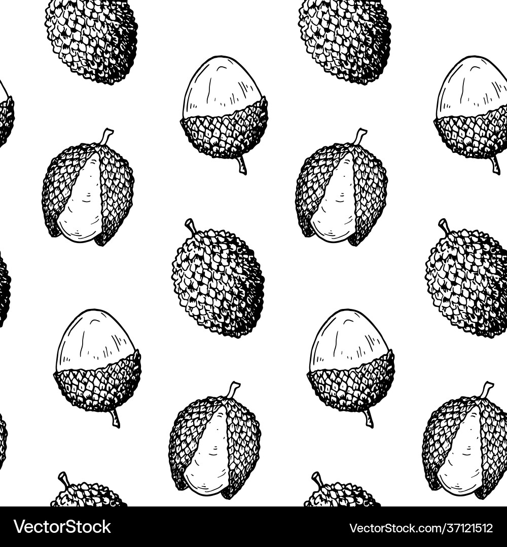 Hand drawn lychee fruit seamless pattern Vector Image