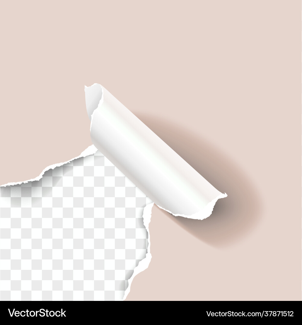 Transparency Paper Crafts