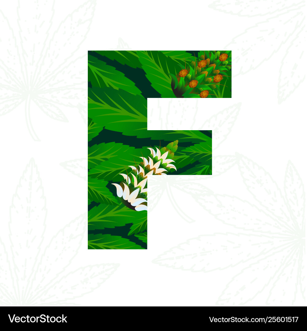 Letter with cannabis leaf for logo design Vector Image