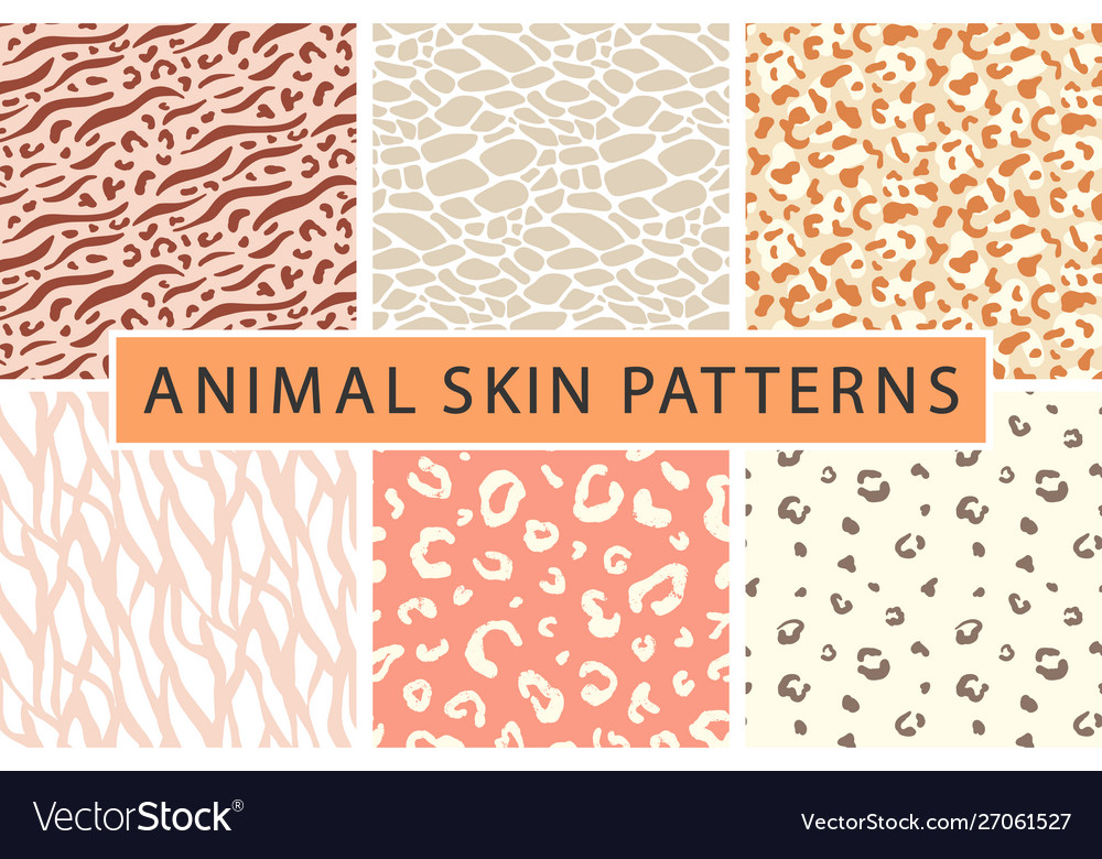 Animal leopard skin texture print pattern Vector Image