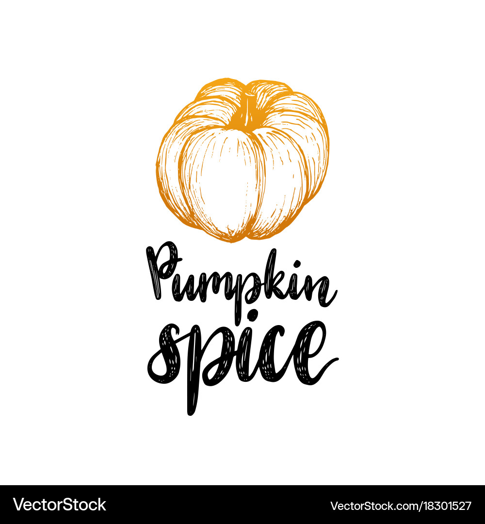 Pumpkin spice lettering on white background hand Vector Image