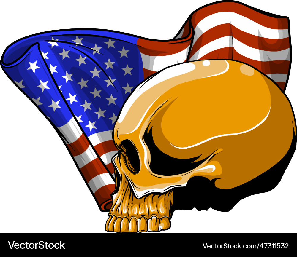 American flag with skull Royalty Free Vector Image