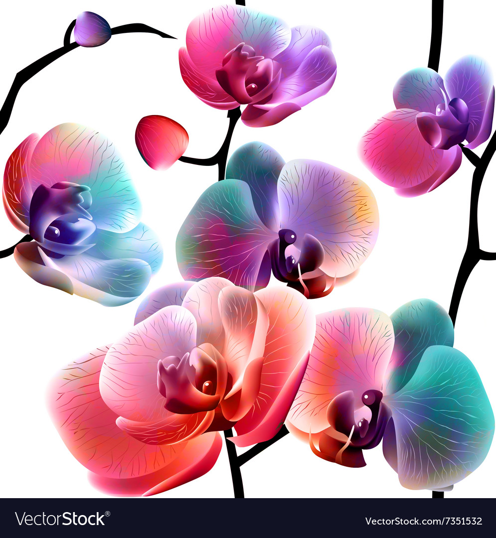 Orchids Seamless pattern EPS10 Royalty Free Vector Image