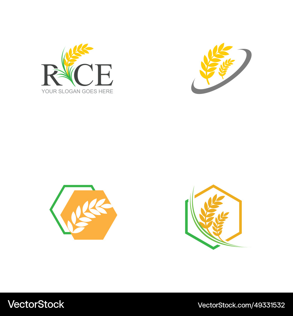 Rice or wheat grain agriculture logo design Vector Image