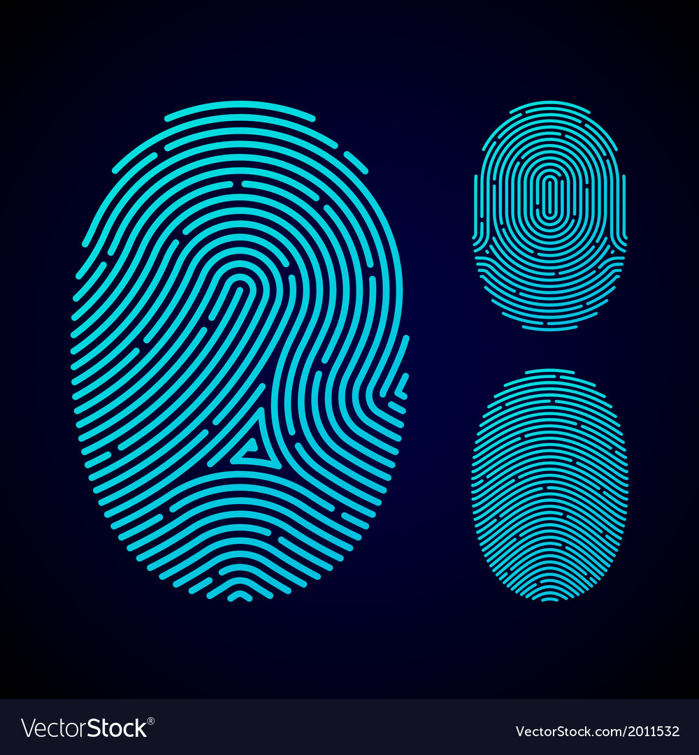 Types Of Fingerprint Patterns Royalty Free Vector Image