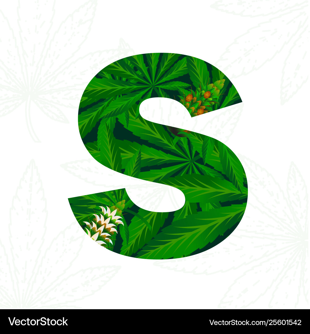 Letter with cannabis leaf for logo design Vector Image