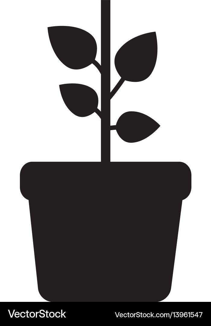 Plant in a pot icon Royalty Free Vector Image - VectorStock