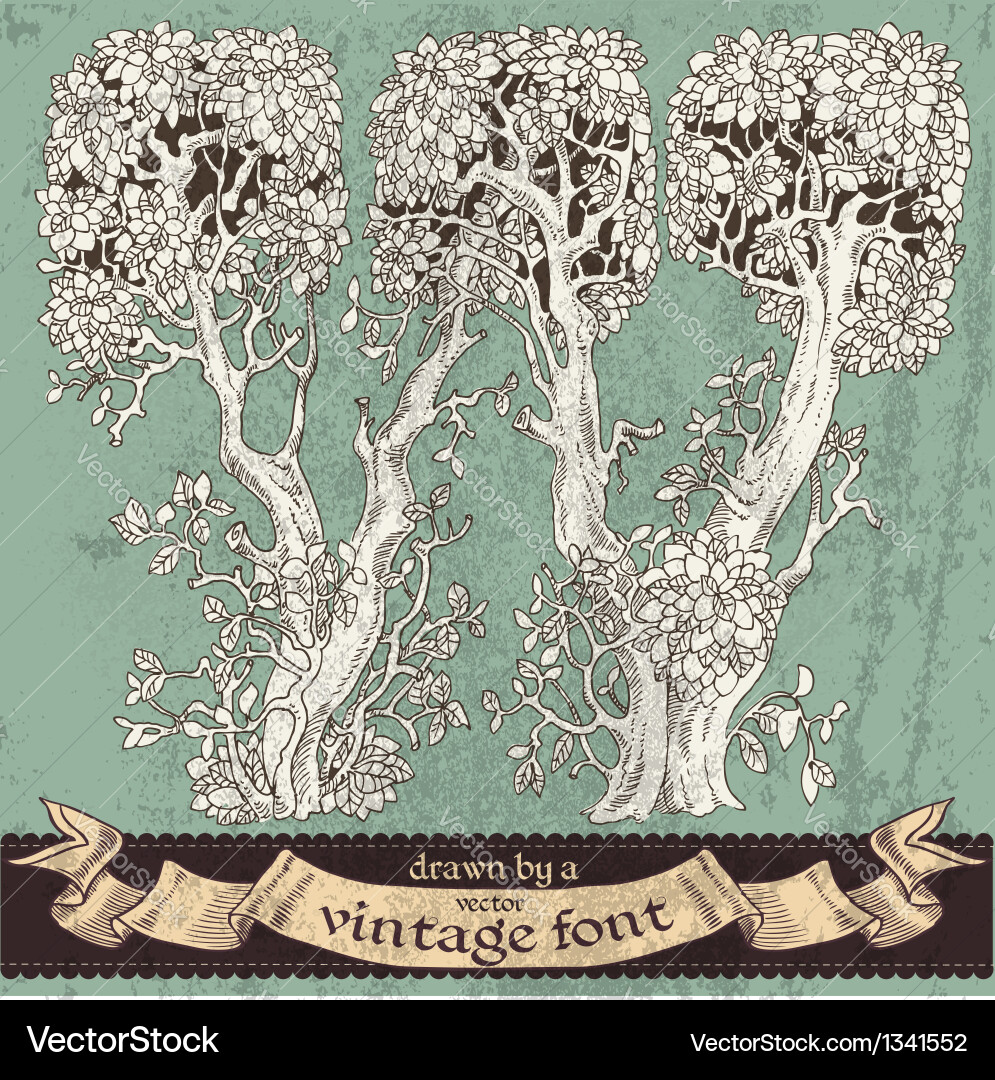 Magic grunge forest hand drawn a vintage font Vector Image