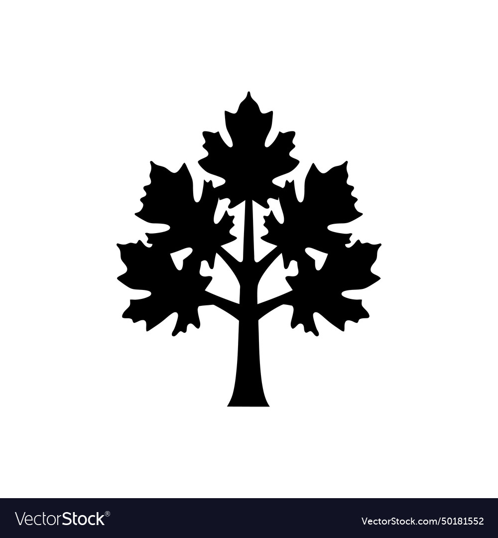Maple tree icon Royalty Free Vector Image - VectorStock