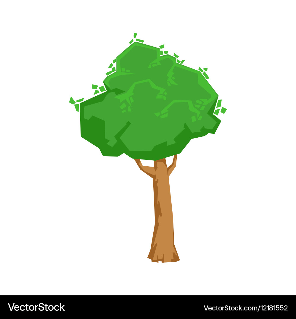 Tall Green Lime Tree Natural Landscape Design Vector Image