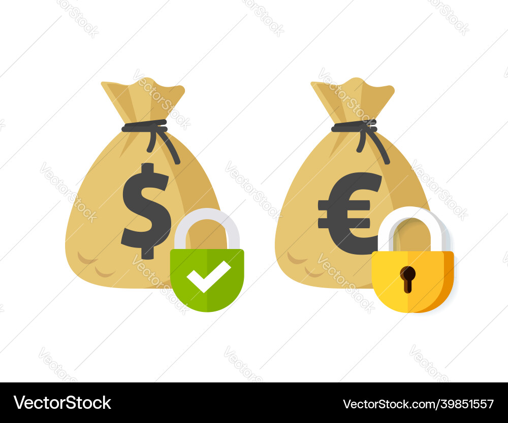Money payment security lock protection icon Vector Image