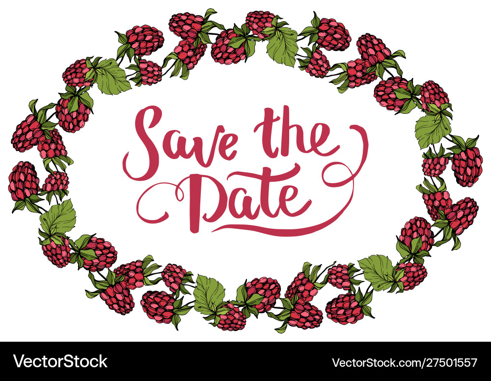 Raspberry healthy food isolated red Royalty Free Vector