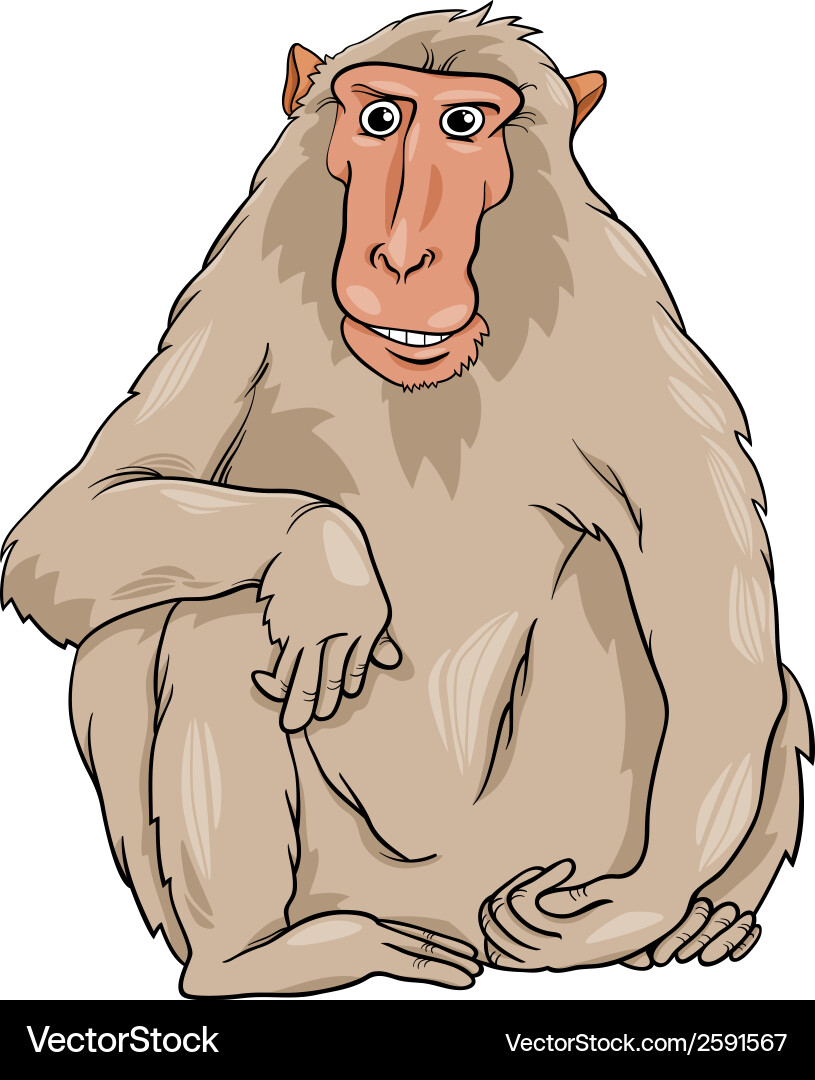 Macaquee animal cartoon Royalty Free Vector Image