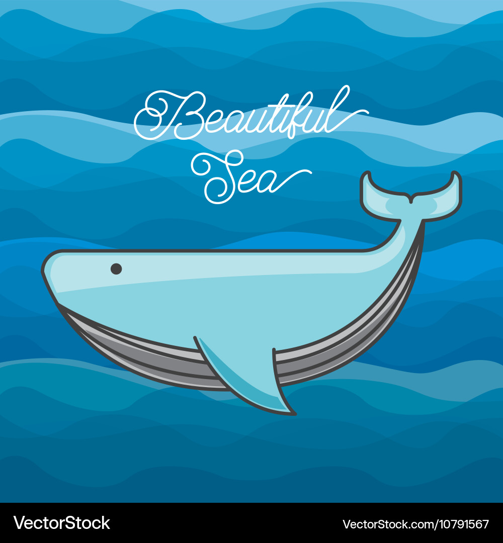 Sea life conceptual poster Royalty Free Vector Image