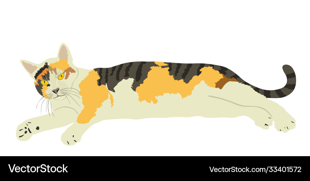 Cute calico cat lay on ground Royalty Free Vector Image