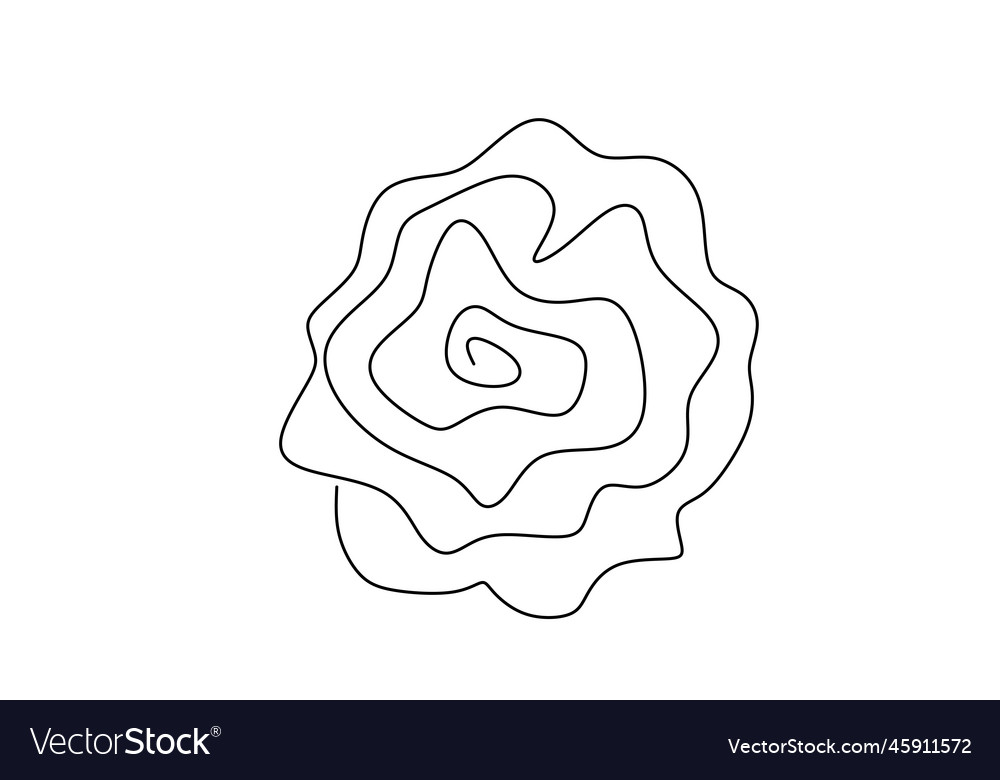Fresh beautiful romantic rose flower one Vector Image