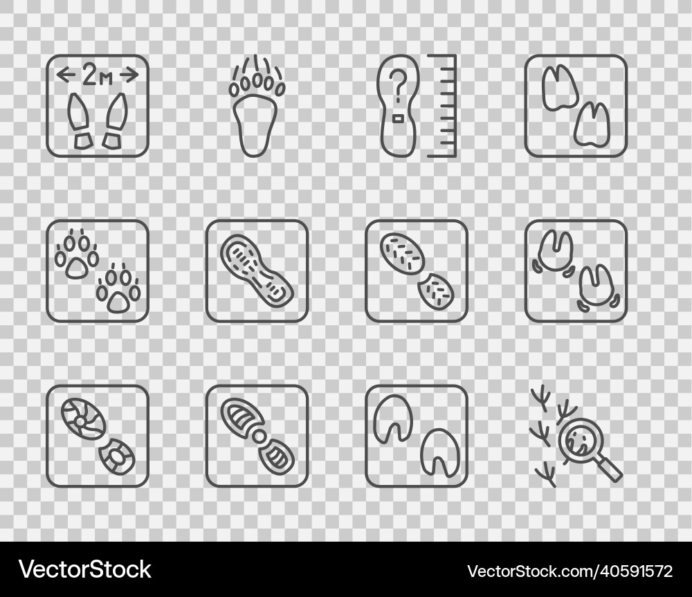 Set line human footprints shoes bird square Vector Image