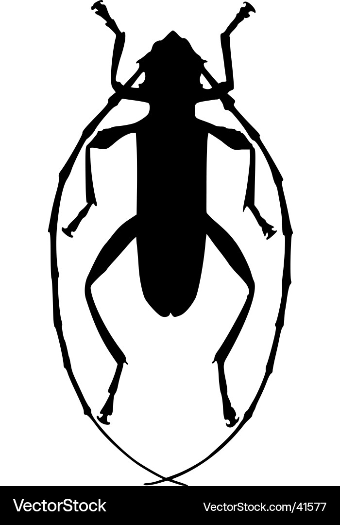 Long-horn beetle Royalty Free Vector Image - VectorStock