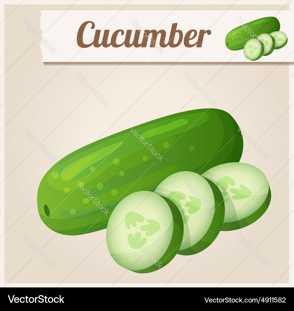 Cucumber detailed icon Royalty Free Vector Image