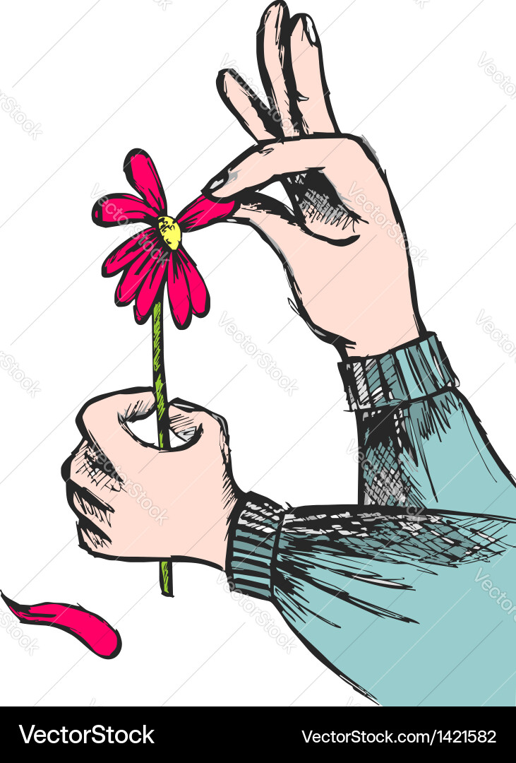 Love question hands plucking off the petals Vector Image