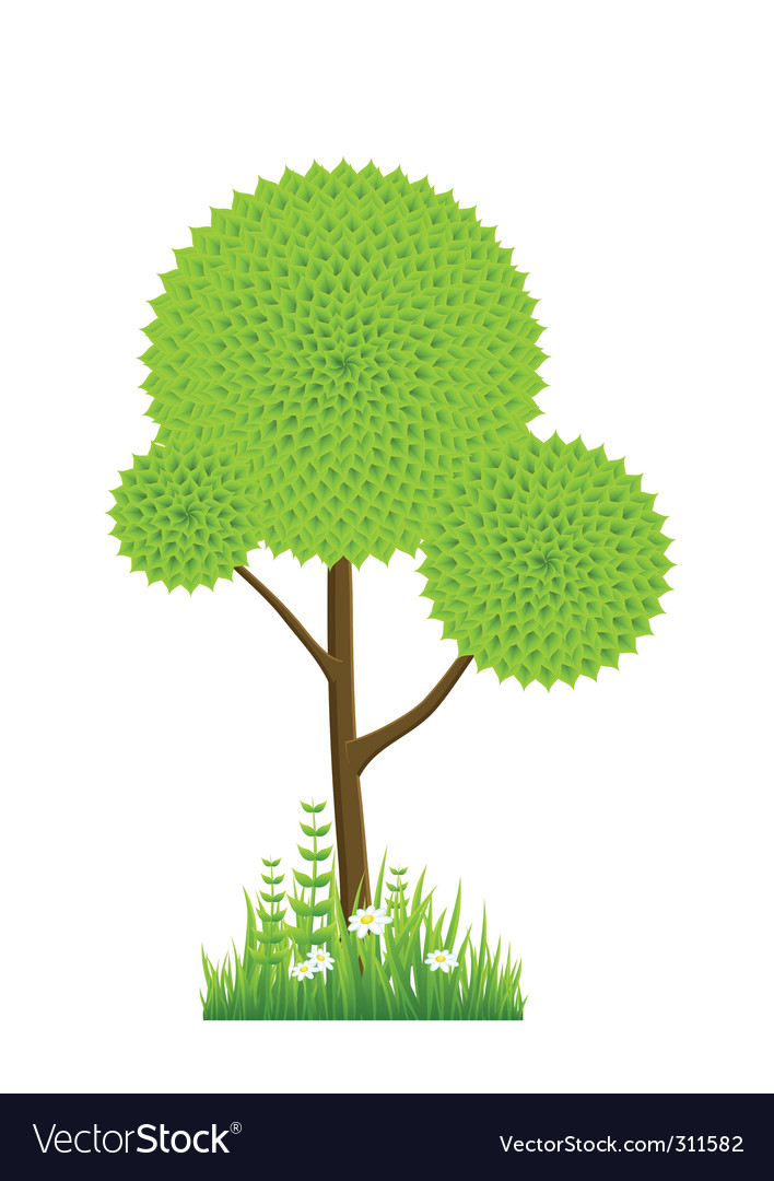 Tree Royalty Free Vector Image - VectorStock