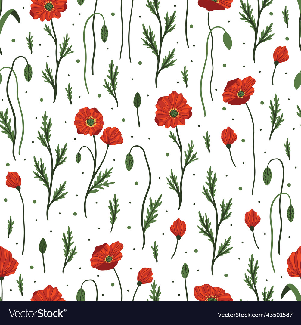 Seamless pattern with red poppy flowers and buds Vector Image