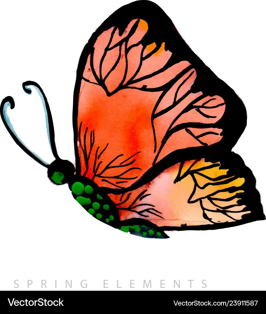 Watercolor spring butterfly collection Royalty Free Vector