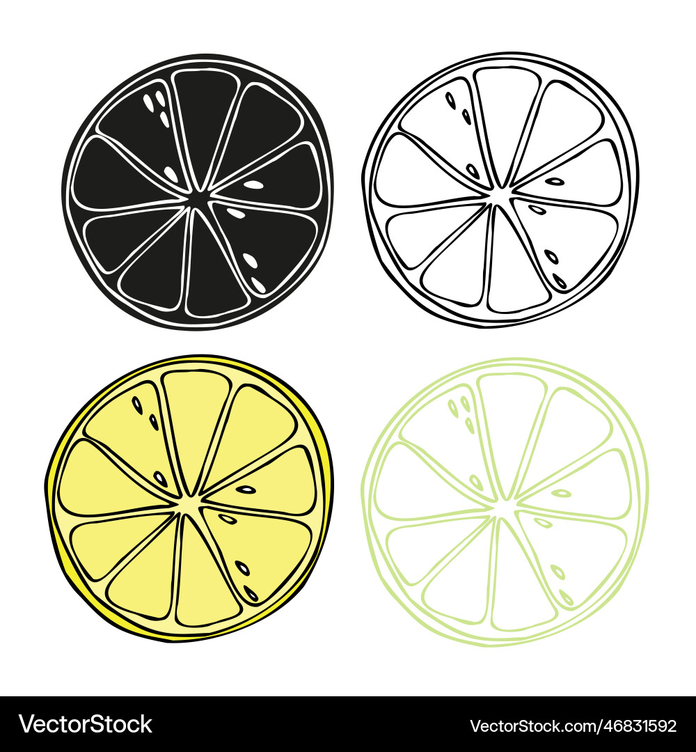 Line art lemon sliced set summer fruit Royalty Free Vector