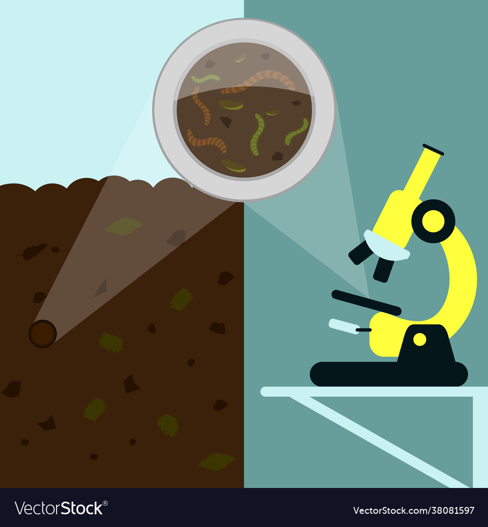Earthworm analysis Royalty Free Vector Image - VectorStock