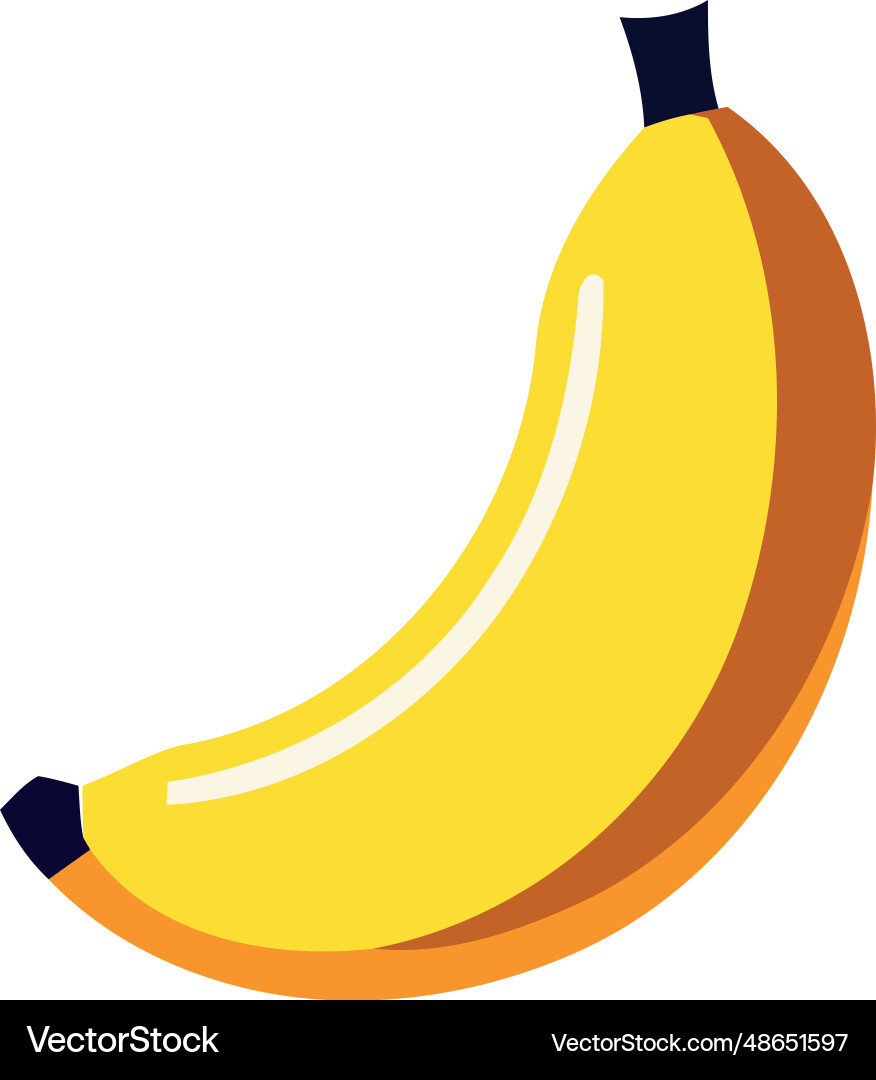 Fresh yellow banana Royalty Free Vector Image - VectorStock