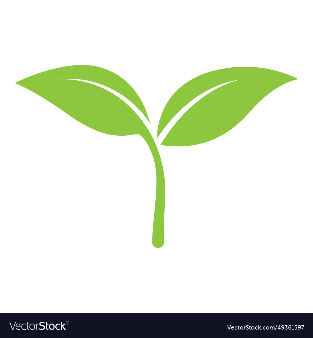 Leaf logo Royalty Free Vector Image - VectorStock
