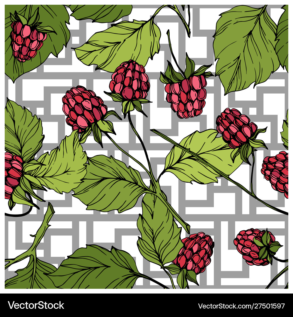 Raspberry healthy food isolated red Royalty Free Vector