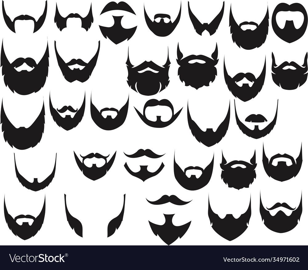 Different style beard set Royalty Free Vector Image